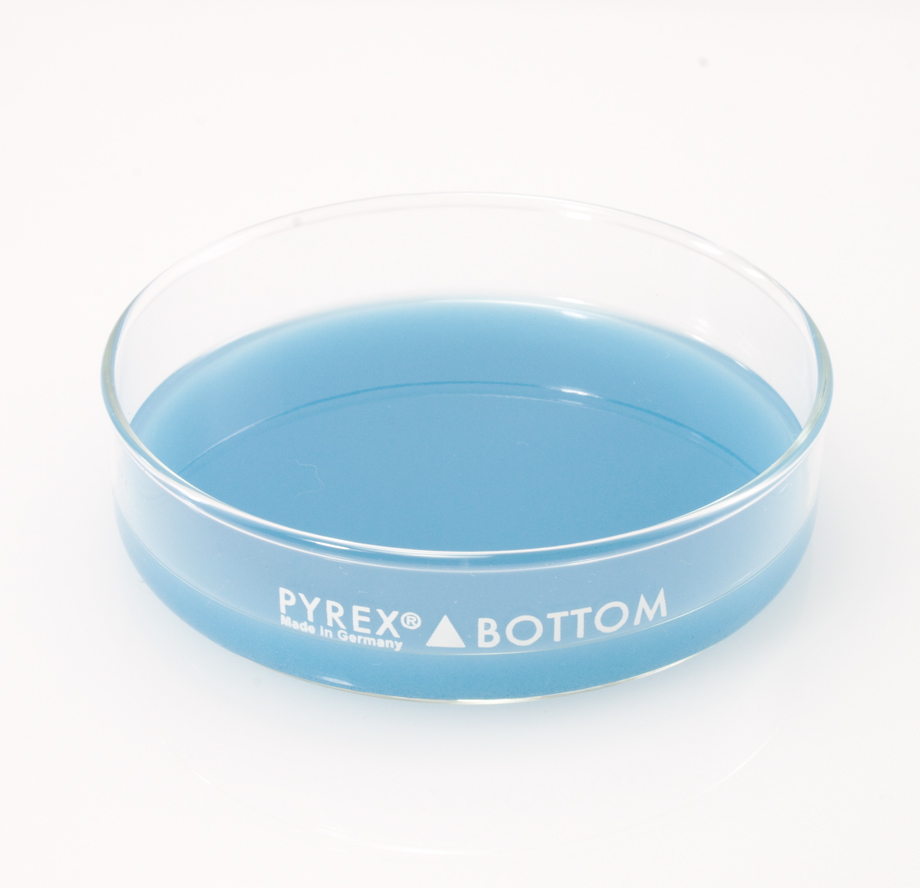 Dissection Dishes, Large - Living Systems Instrumentation