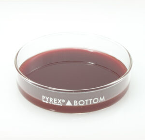 Dissection Dishes, Large - Living Systems Instrumentation